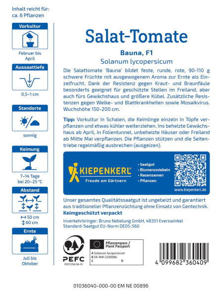 Kiepenkerl Salat-Tomate 'Bauna F1': Robuste Gartentomate
